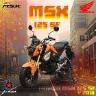 125 Mini - 2 Used Motorcycles | Cari Motorcycles